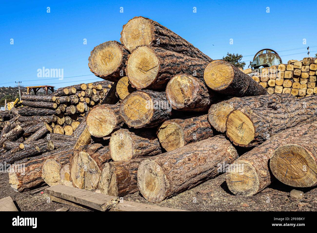 Yecora, Mpo. Yecora, Sonora, Mexico. Steel fence, pine wood, logs, wood ...