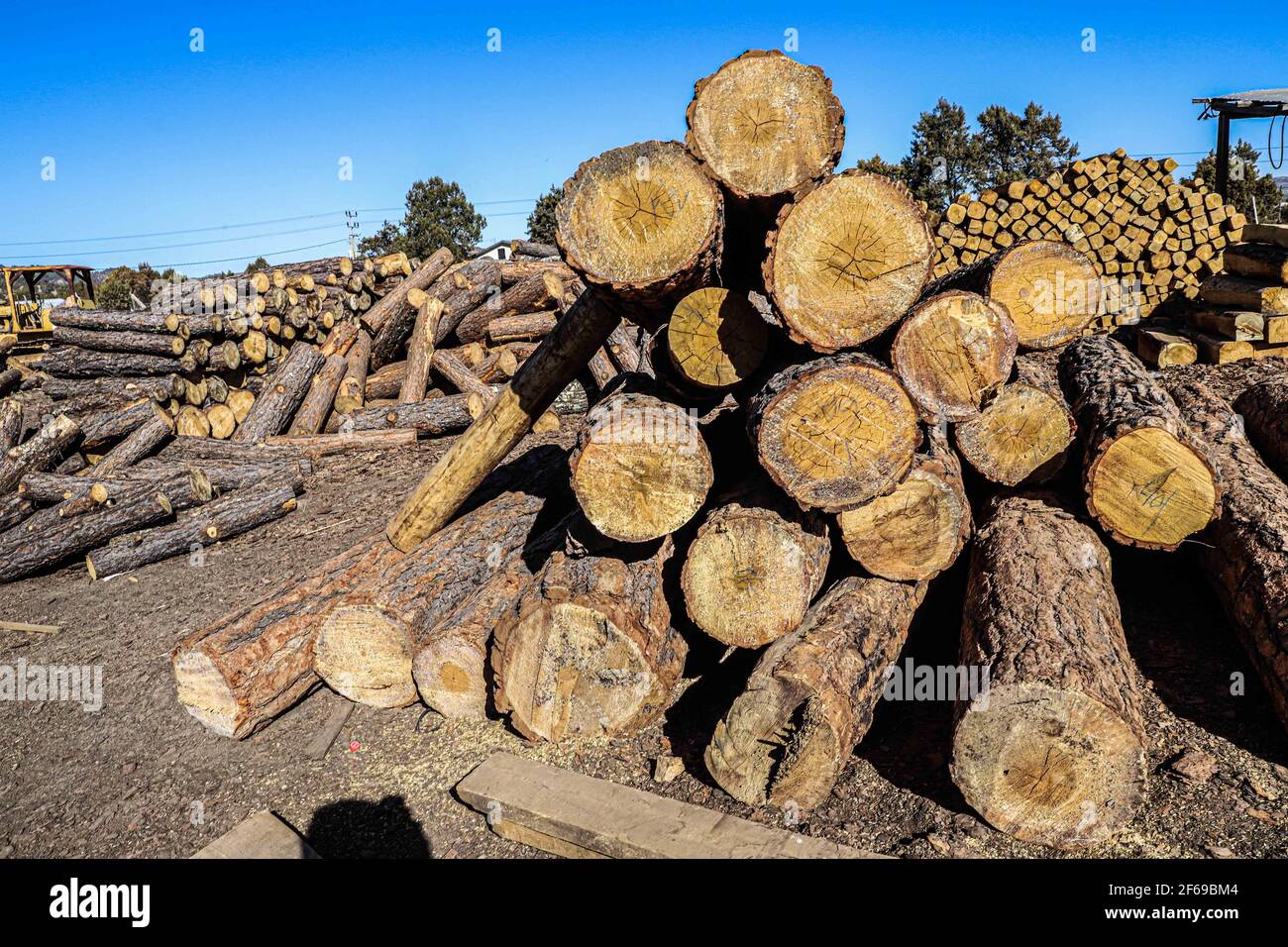 Yecora, Mpo. Yecora, Sonora, Mexico. Steel fence, pine wood, logs, wood ...