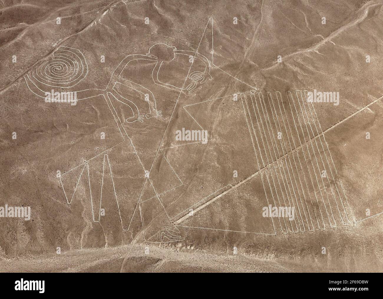 Monkey geoglyph, Nazca or Nasca mysterious lines and geoglyphs aerial ...