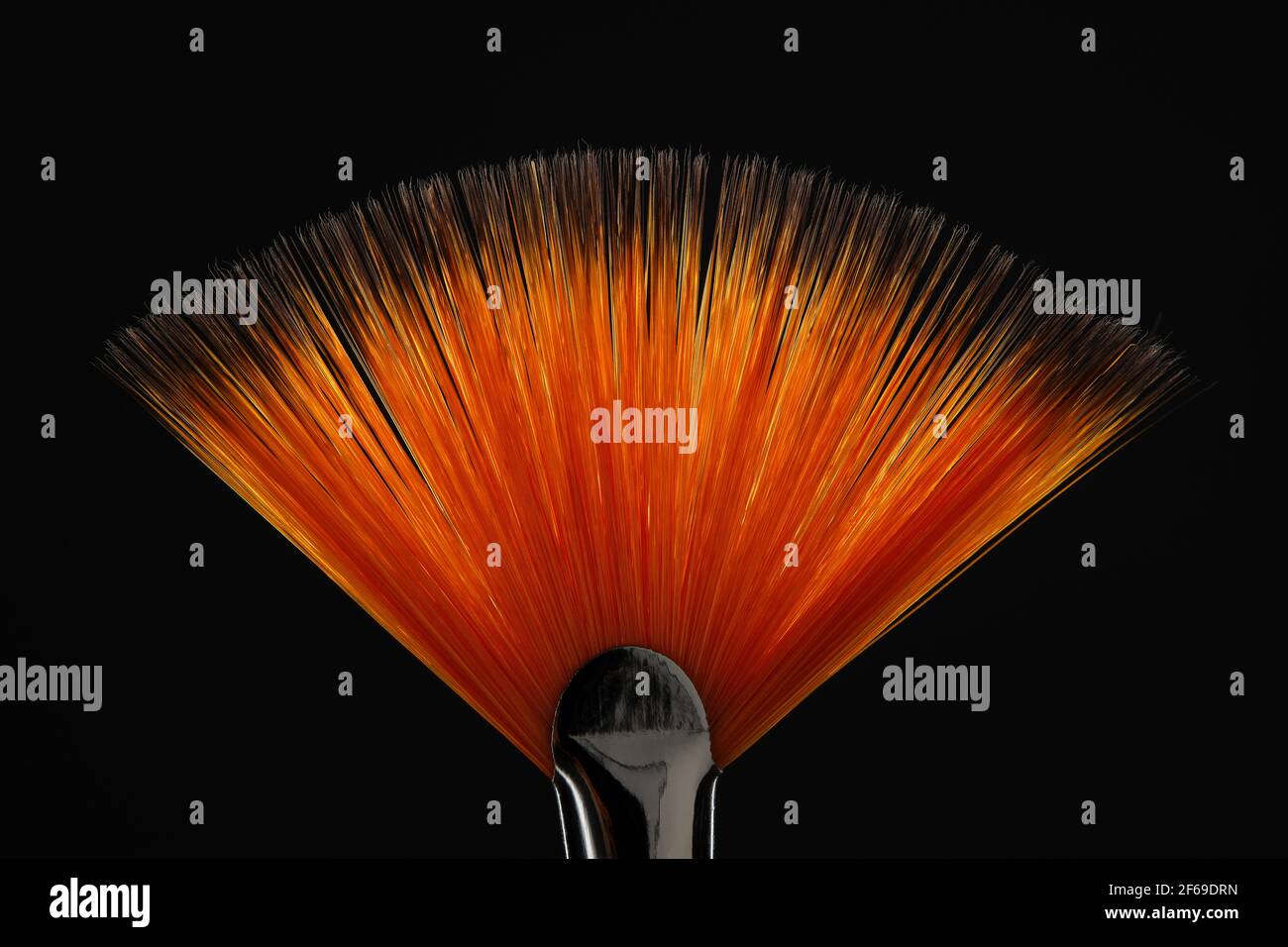 Fan shaped paintbrush. Artistic flat fan brush with orange hairs for ...