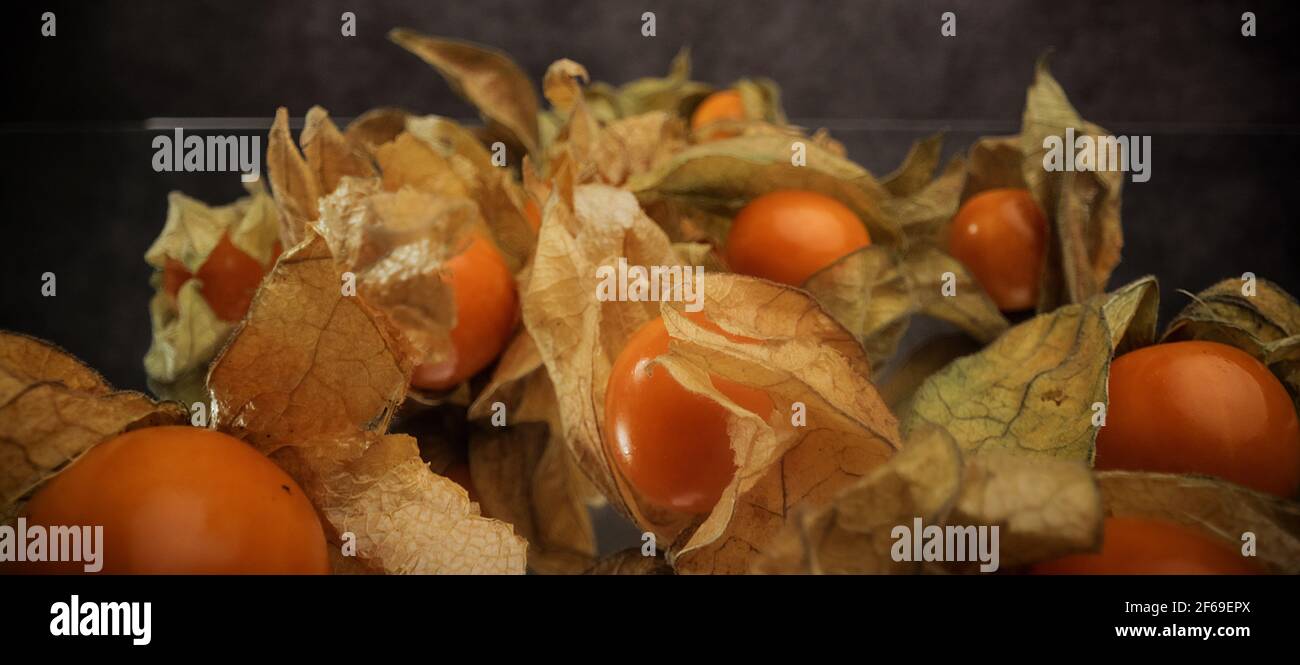 Physalis golden berries in close-up Stock Photo - Alamy
