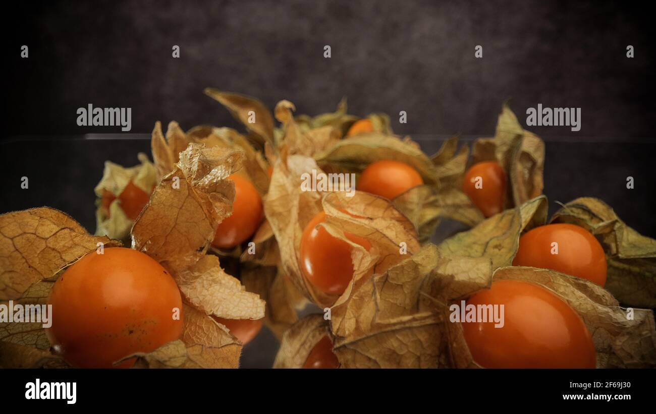 Physalis golden berries in close-up Stock Photo - Alamy