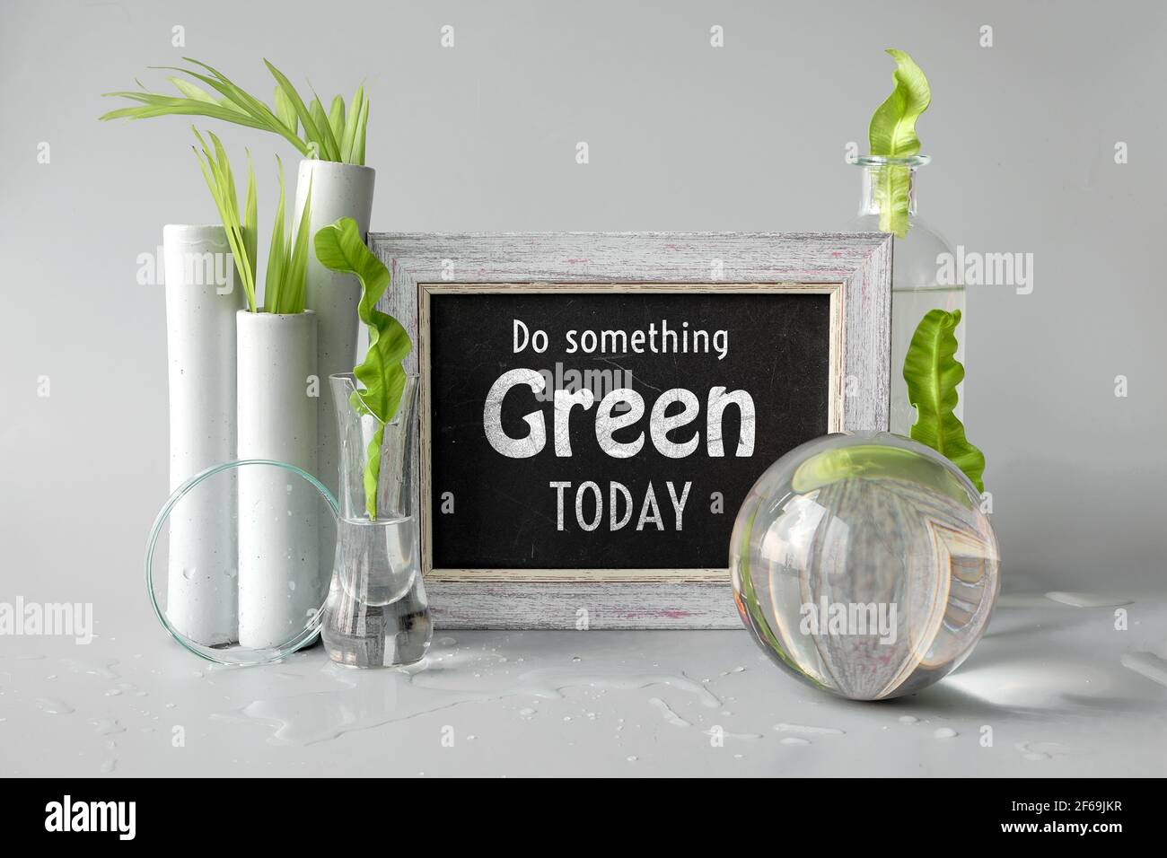 Natural laboratory. Text Do Something Green Today on blackboard. Exotic ...