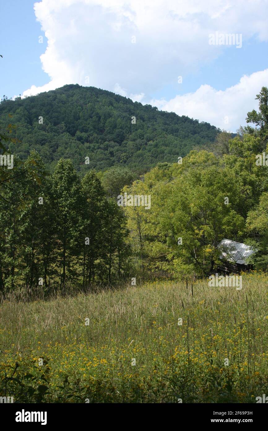 Summer landscape in rural Virginia, USA, with the Blue Ridge Mountains ...