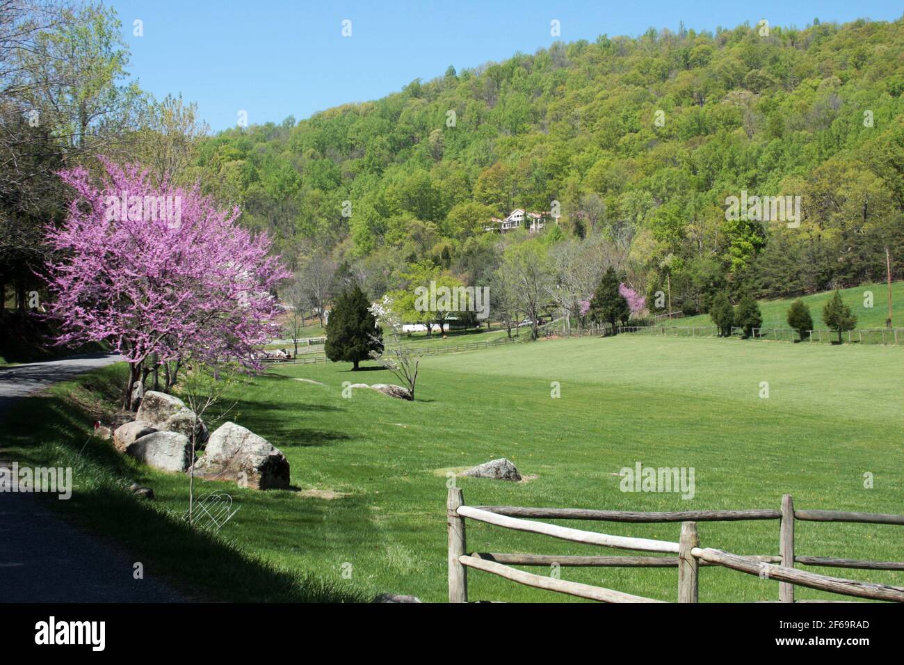 Mountains vegetation zone hi-res stock photography and images - Alamy