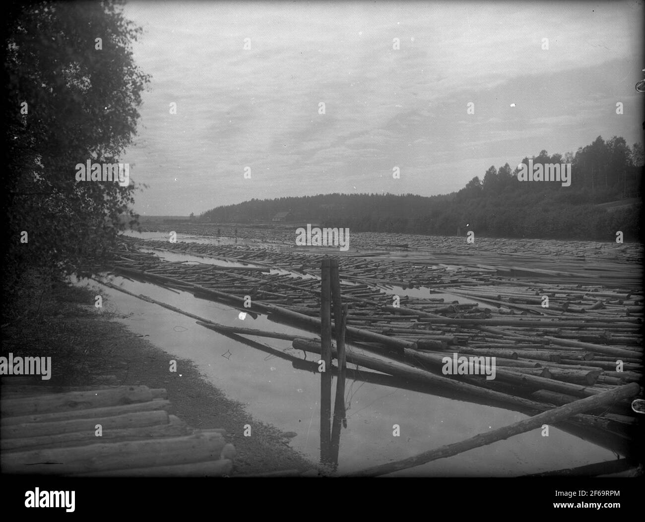 Timber float in Norsälven Stock Photo - Alamy