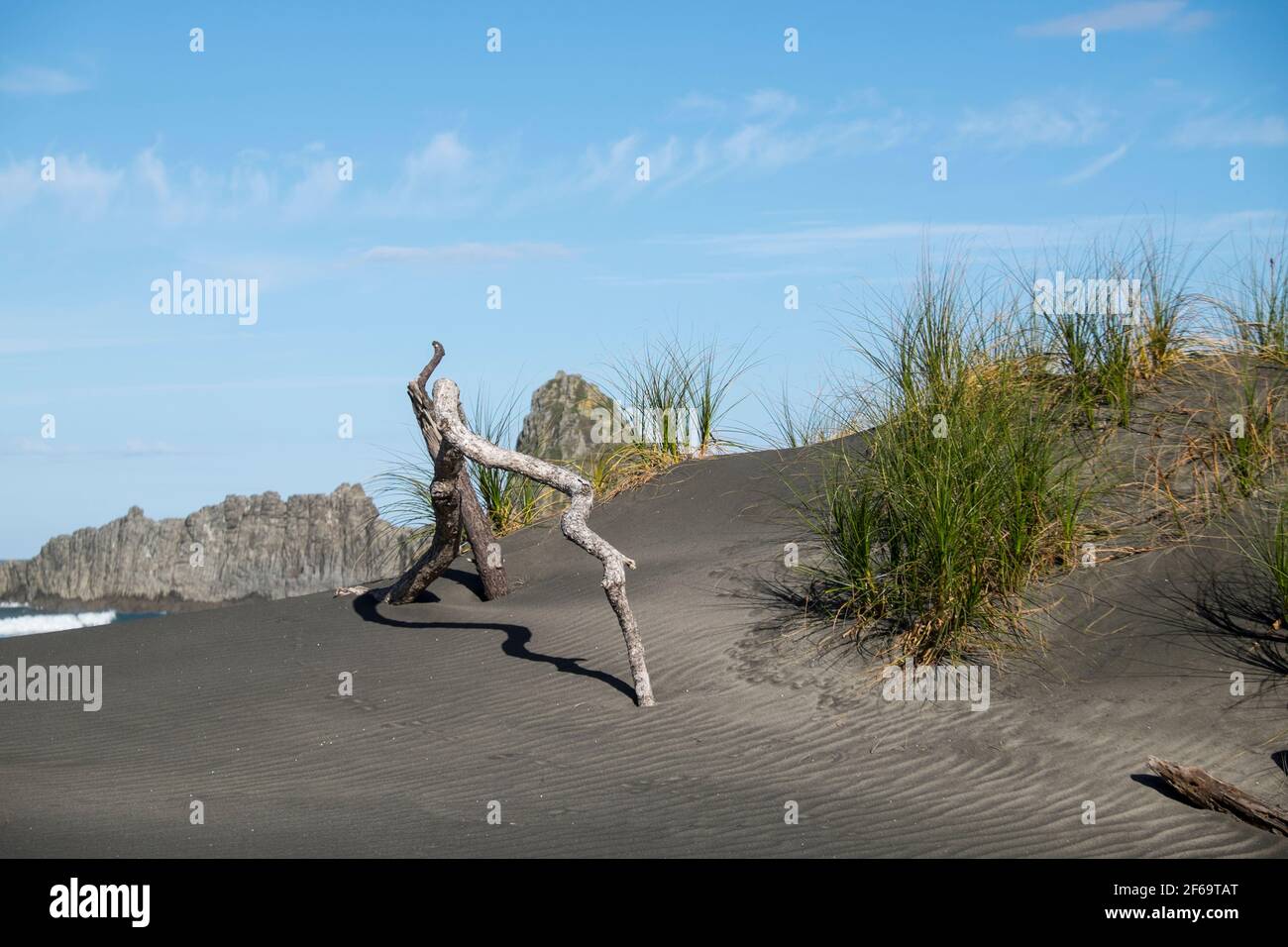 A coastal volcanic iron sand dune with driftwood and shadow Stock Photo ...