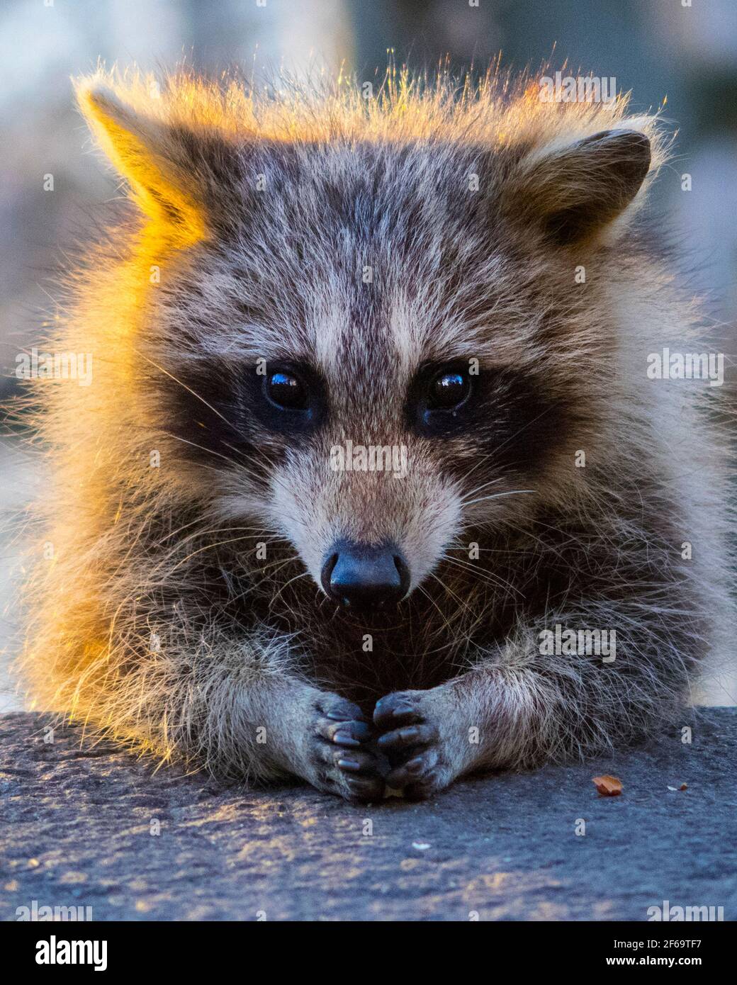 Praying in the park hi-res stock photography and images - Alamy