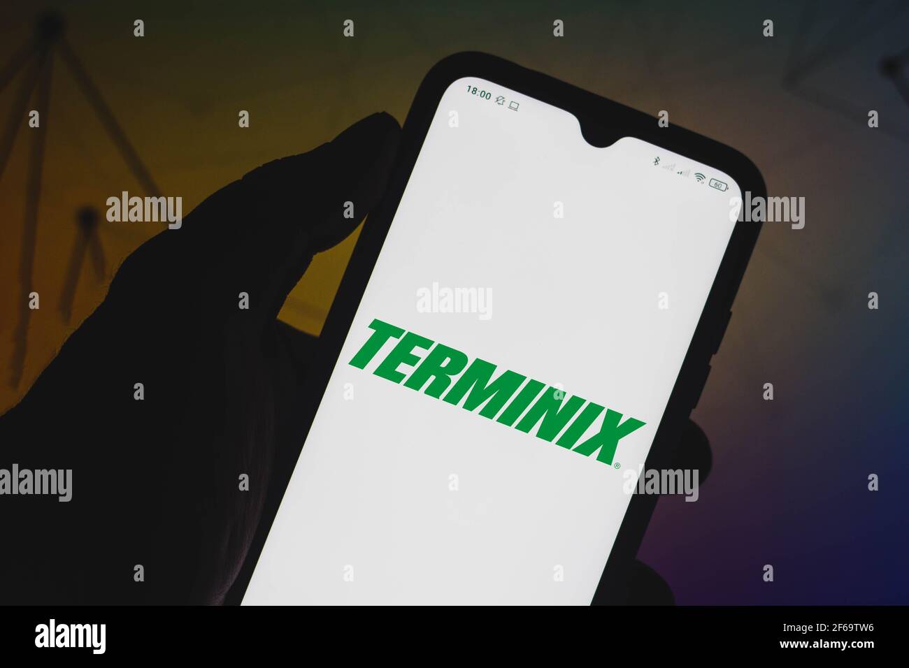 In this photo illustration a Terminix International Company logo seen ...