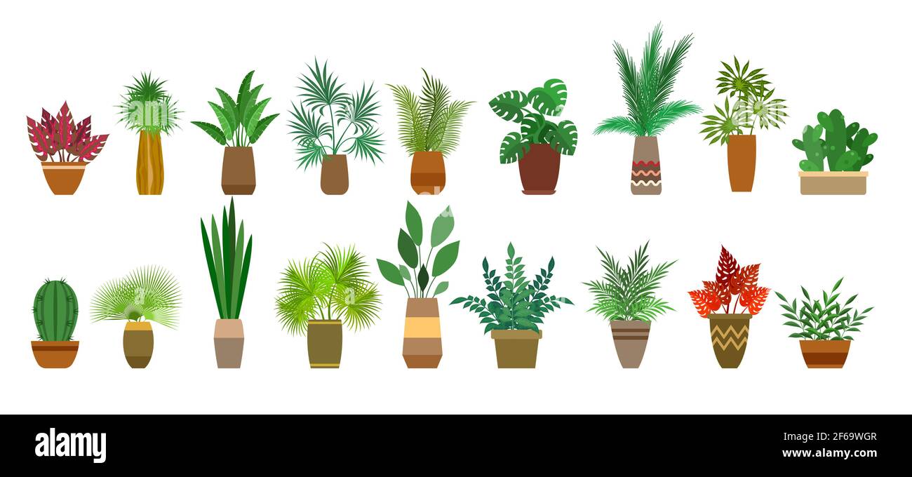 Plants and planters Stock Vector Images - Alamy