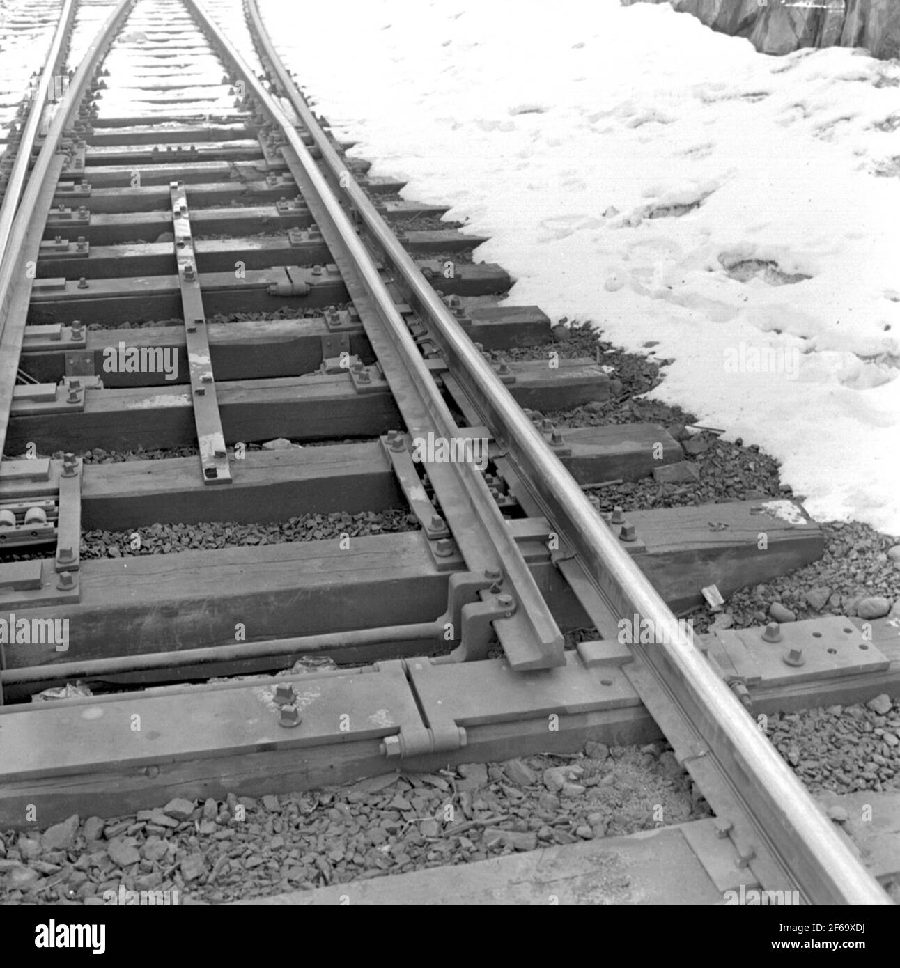 Trace loop hi-res stock photography and images - Alamy