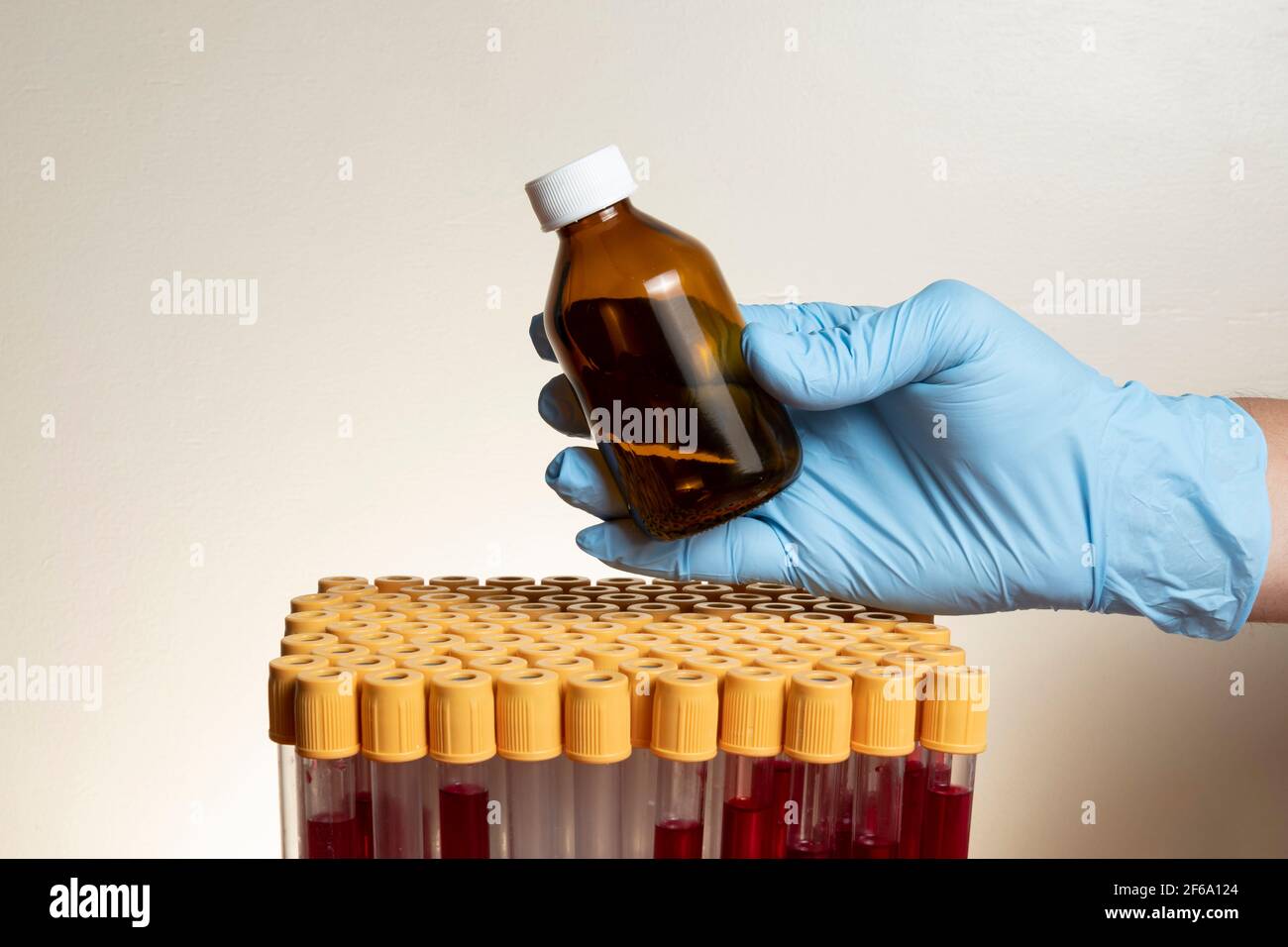 hand with protective nitrile glove holding tube to collect blood sample ...