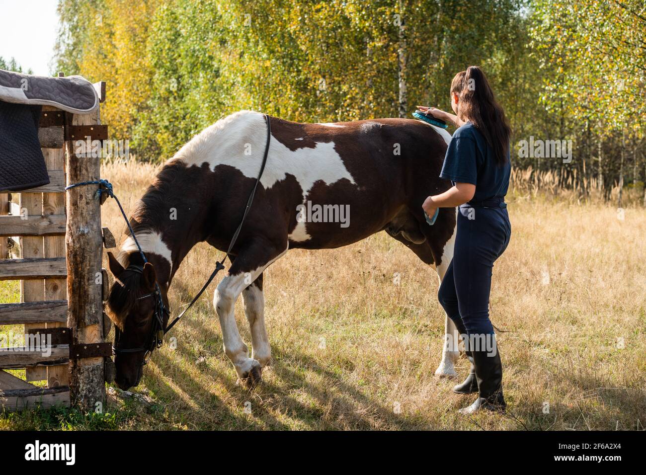A young farm worker takes care of a horse and cleans it in the fresh ...