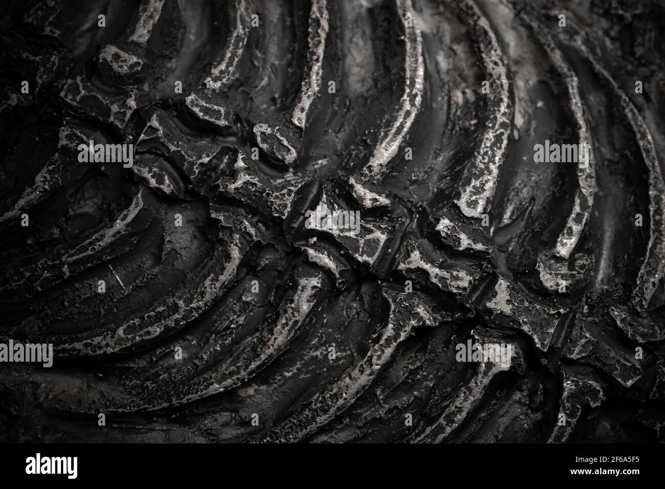 top view dinosaur skeleton fossil of the spine and ribs Stock Photo - Alamy