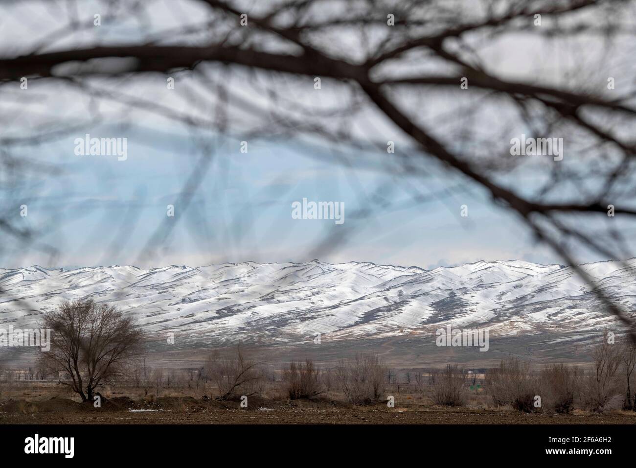 Shawan, China's Xinjiang Uygur Autonomous Region. 30th Mar, 2021. Photo ...