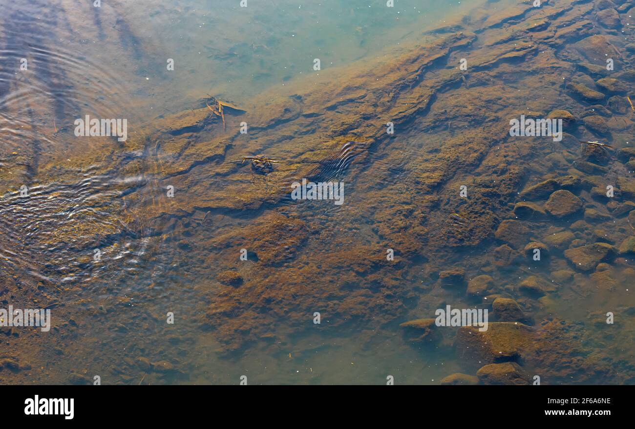 Shallow crystal clear river flows hi-res stock photography and images ...