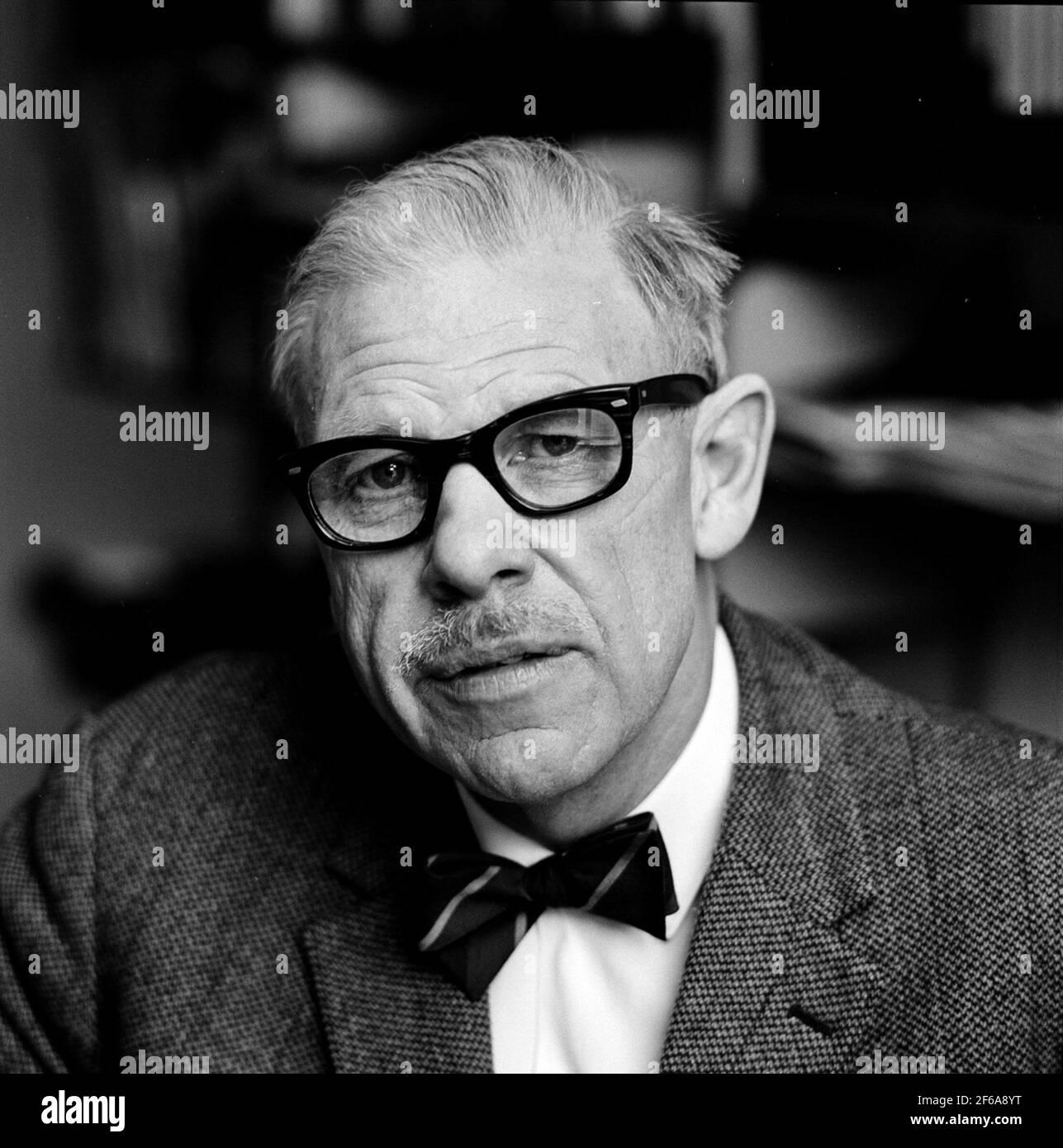 Lawyer A. Forsström Stock Photo - Alamy