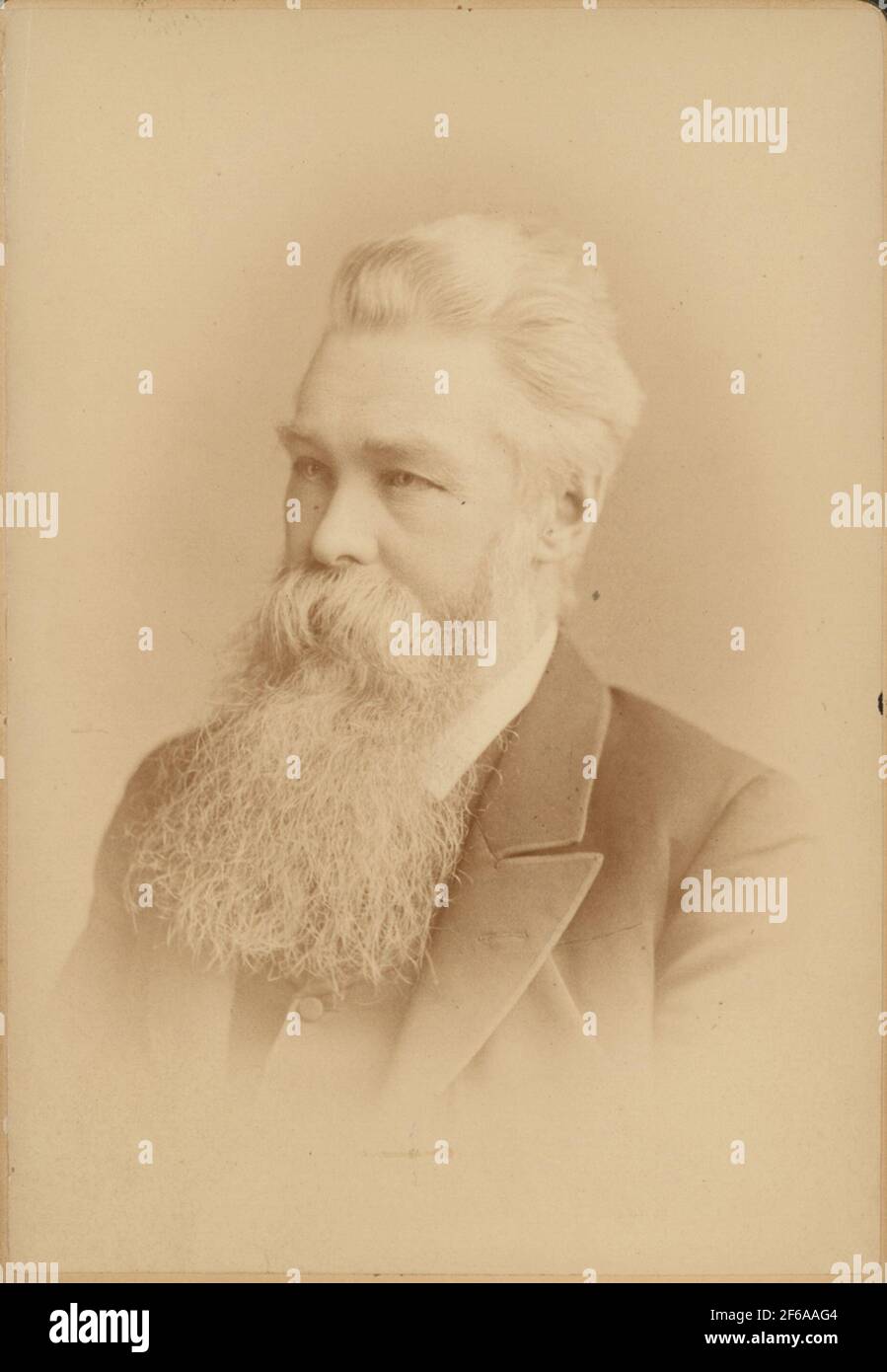 Portrait of Walmsley Stanley, Engineer at Frövi - Ludvika Railway ...
