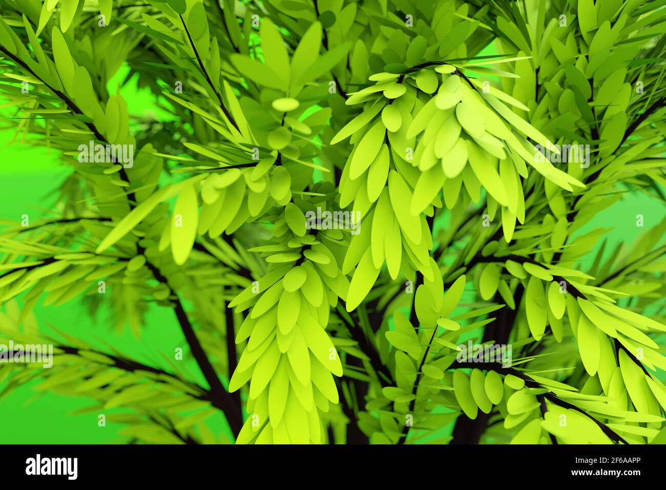 3d illustration close up of realistic green decorative tree isolated on ...