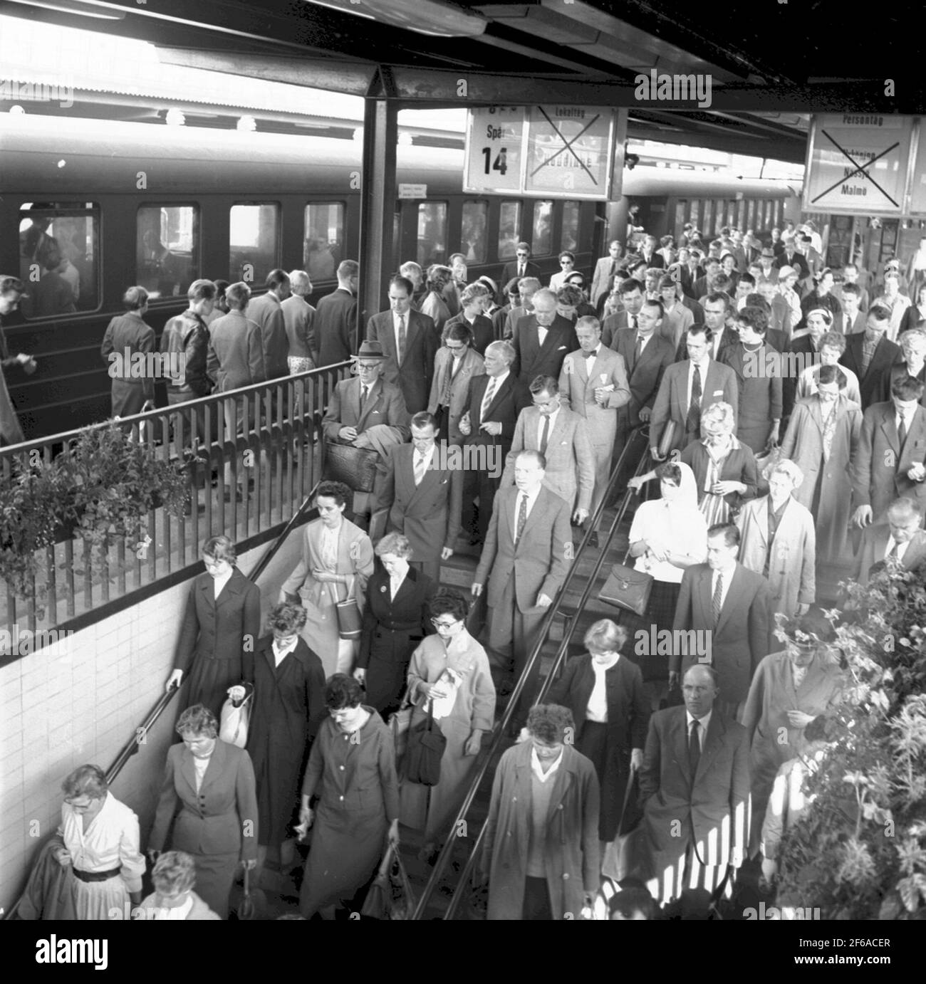 Local traffic at the central station Stock Photo - Alamy