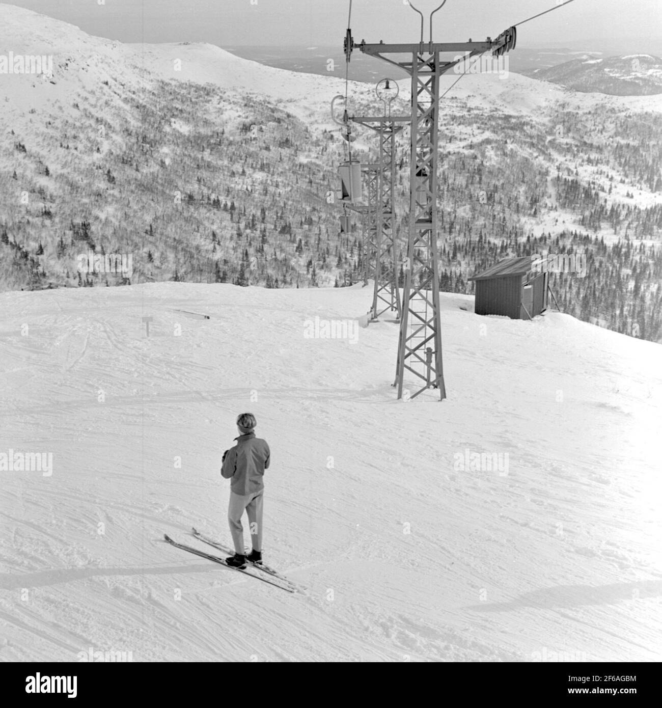 The cable car, tree limit Stock Photo - Alamy