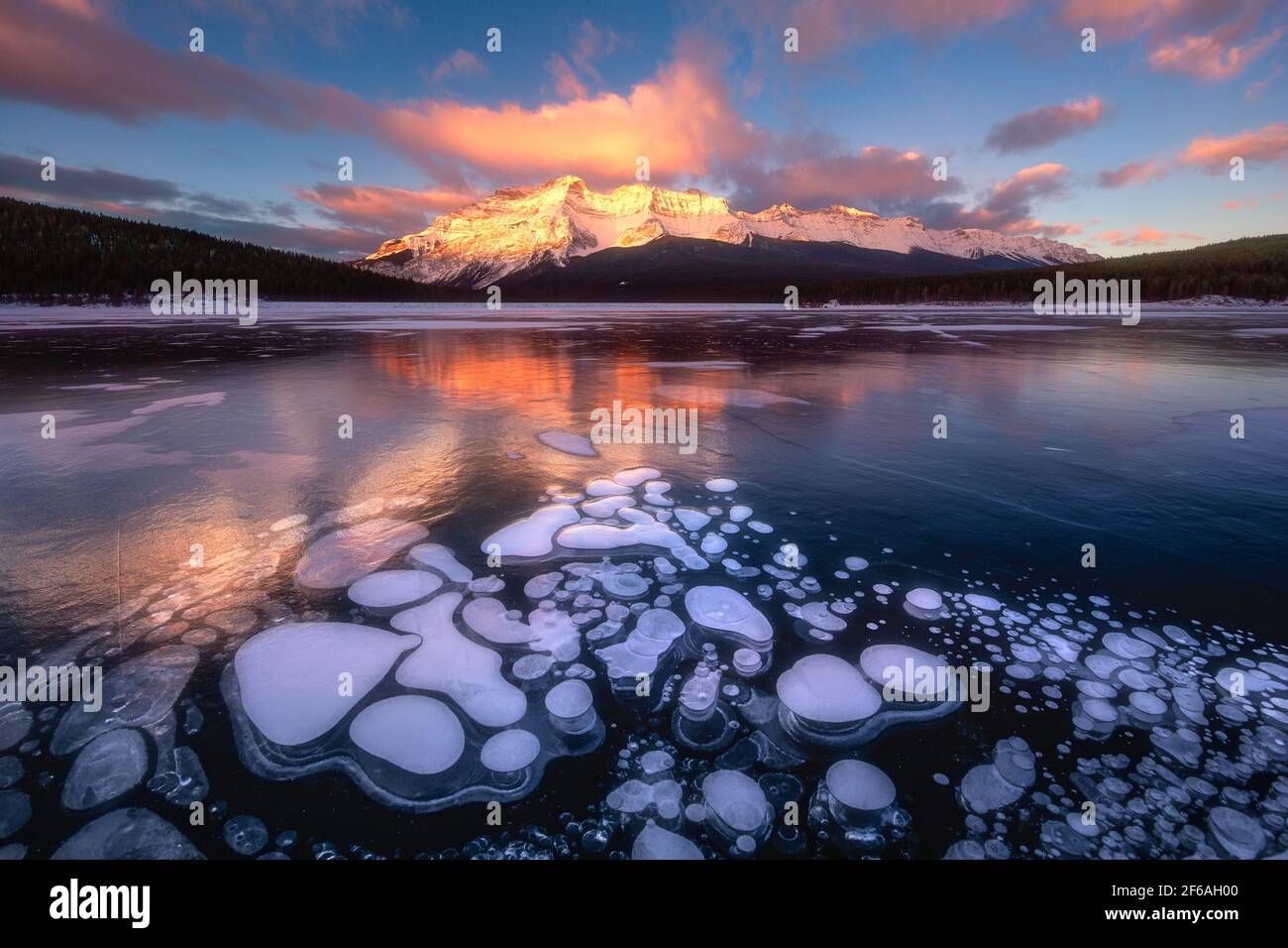 Ice bubbles on the surface of the blue ice. Frozen lake in winter ...