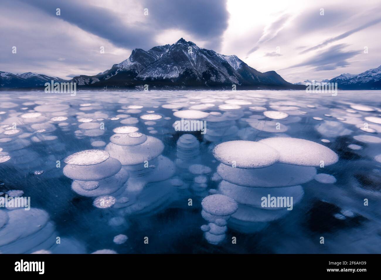 Abraham lake winter ice formation bubbles Stock Photo - Alamy