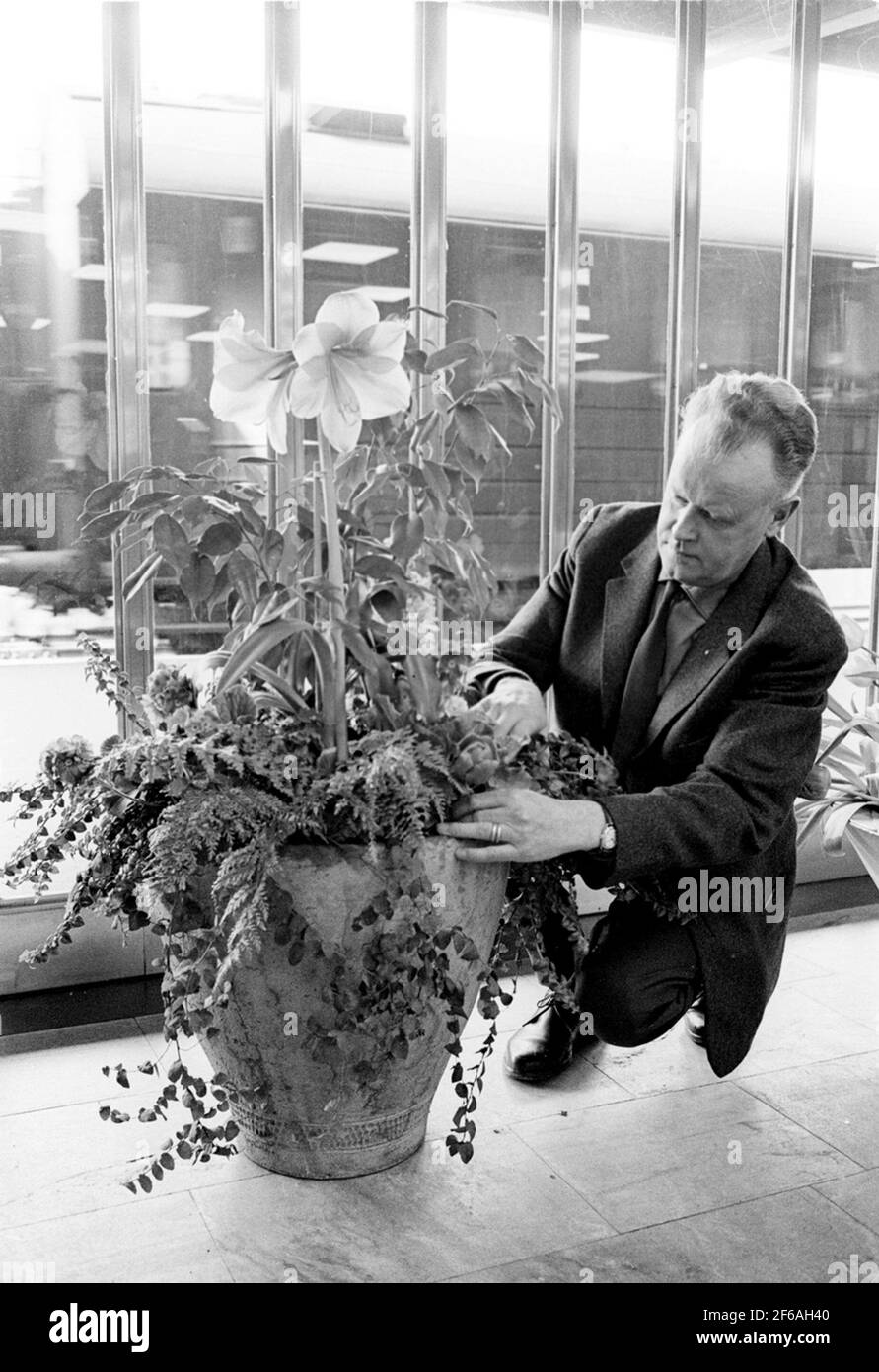 Decorative garden gardener Black and White Stock Photos & Images - Alamy