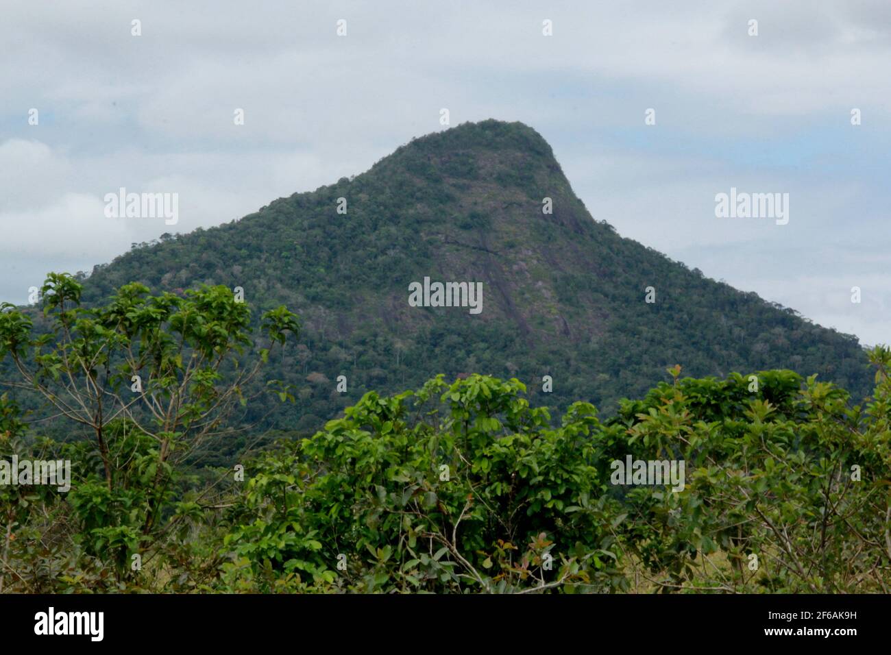 Monte pascoal national park brazil hi-res stock photography and images ...
