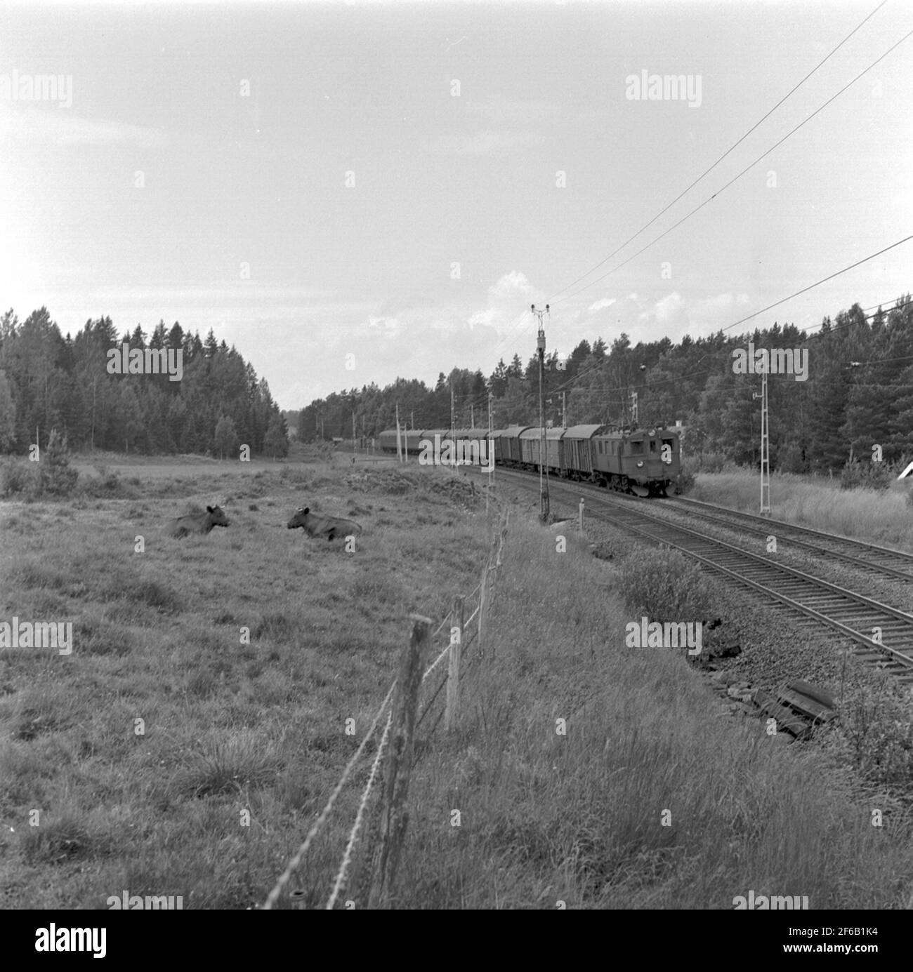 Train with D-Lok Stock Photo - Alamy