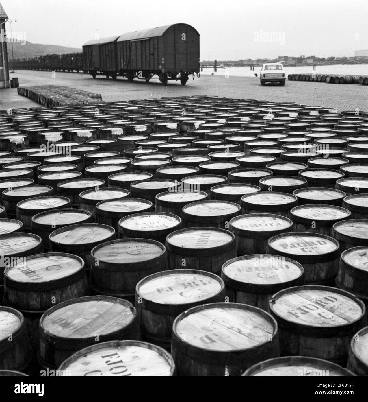 Transportation of barrels Stock Photo - Alamy