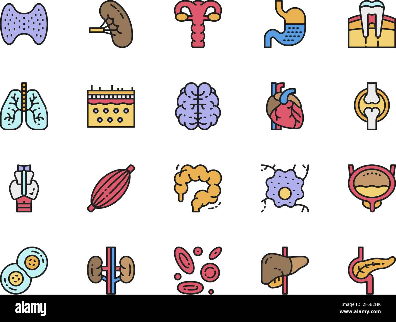 Set of Human Organs Flat Color Icons. Spleen, Stomach, Lungs, Heart and ...