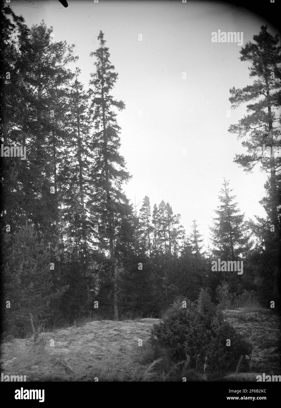 Unfamiliar view Black and White Stock Photos & Images - Alamy