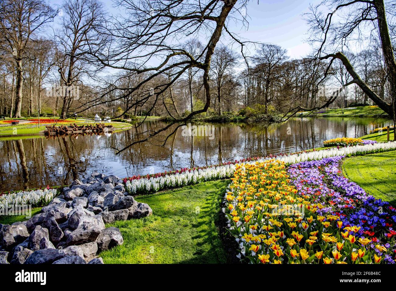 Blooming flowers at The Keukenhof Park in Lisse, northern Netherlands ...