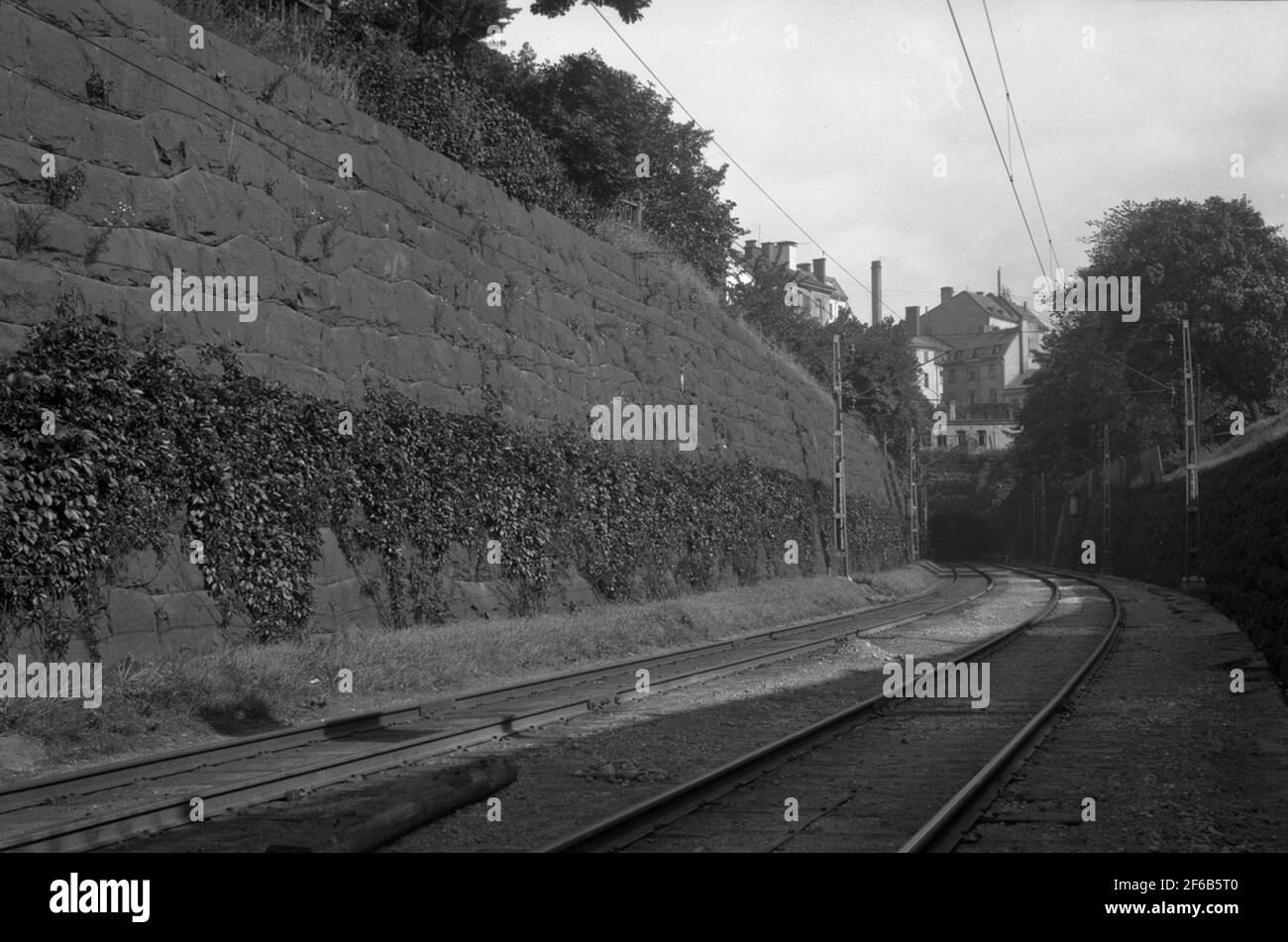 Clam Plants on the stone wall at tunnel mouth Stock Photo - Alamy