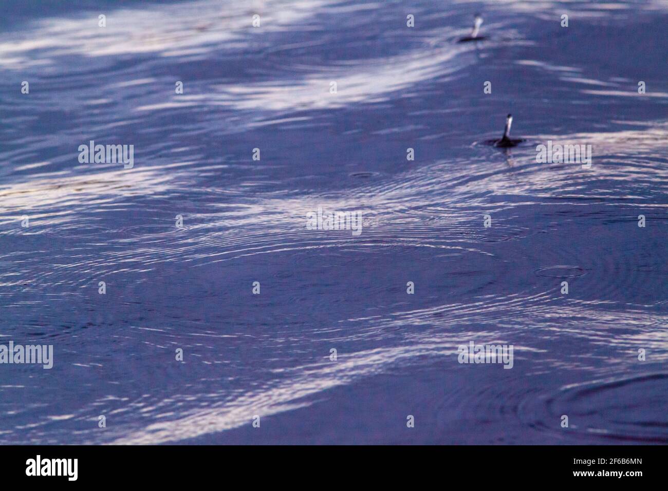 Patterns, shapes, created, formed, forming, evolving, from continuous ...