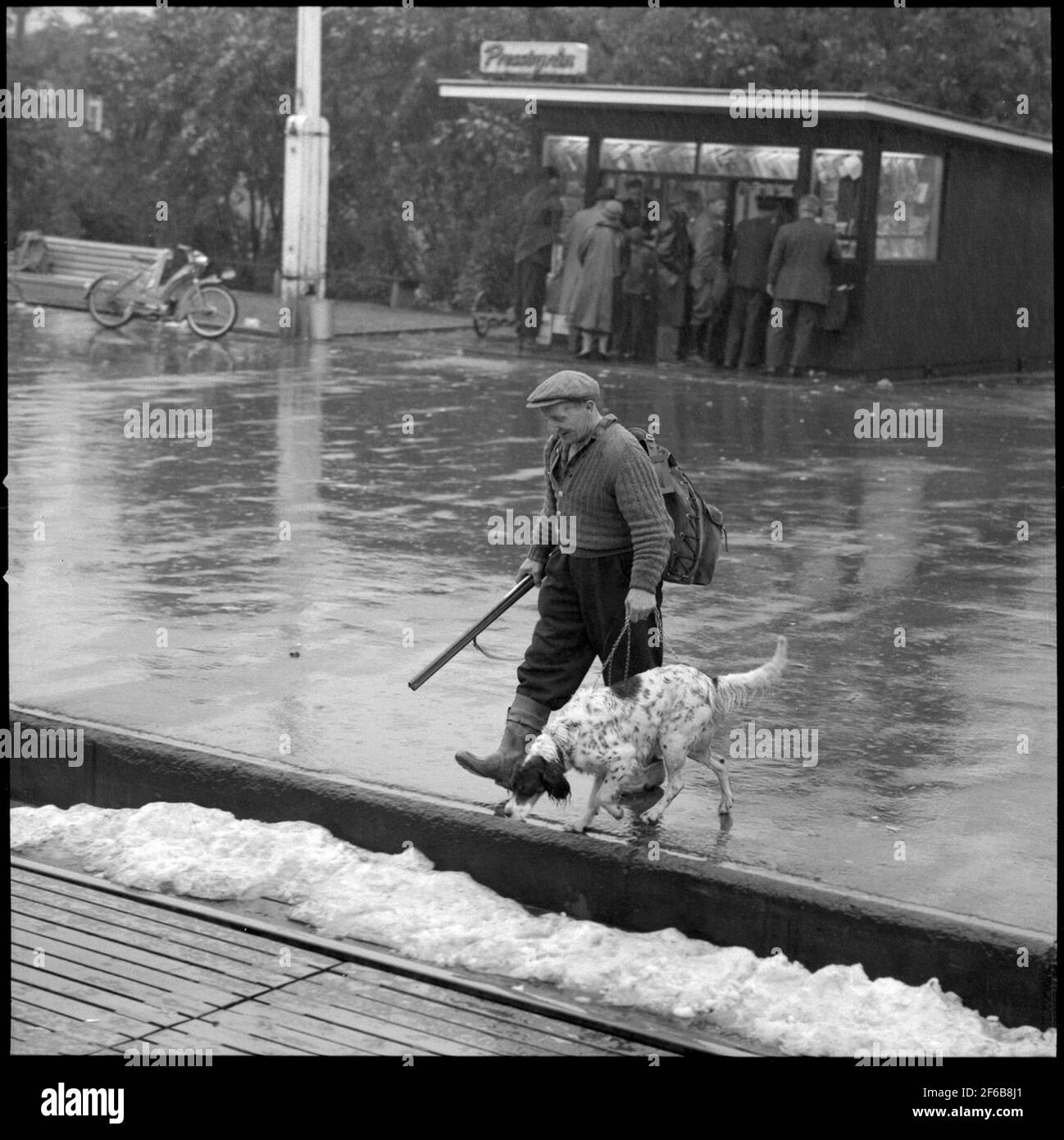 Swedish hunter hi-res stock photography and images - Alamy