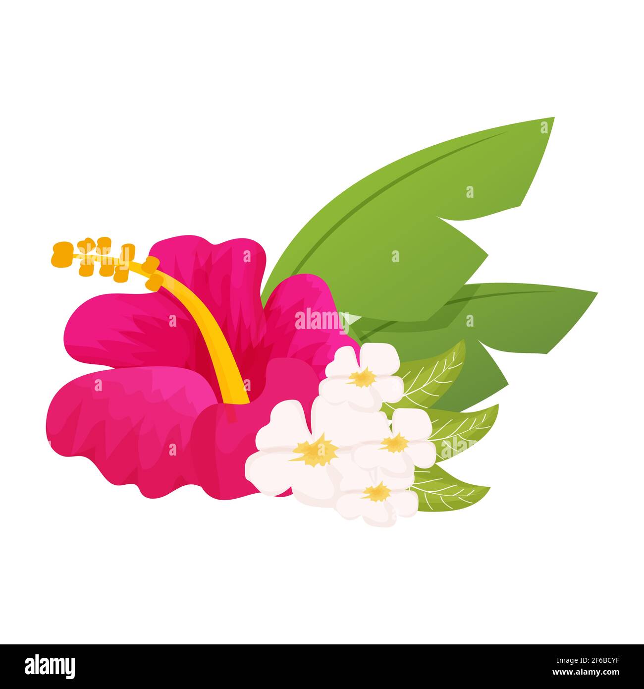 Hibiscus head flower in cartoon style isolated on white background ...