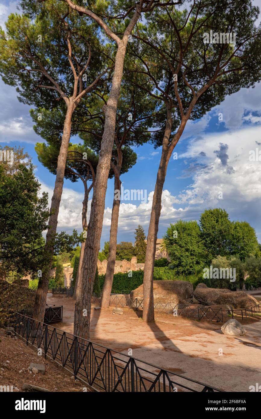 Trees and alley on Palatine Hill in city of Rome, Italy Stock Photo - Alamy