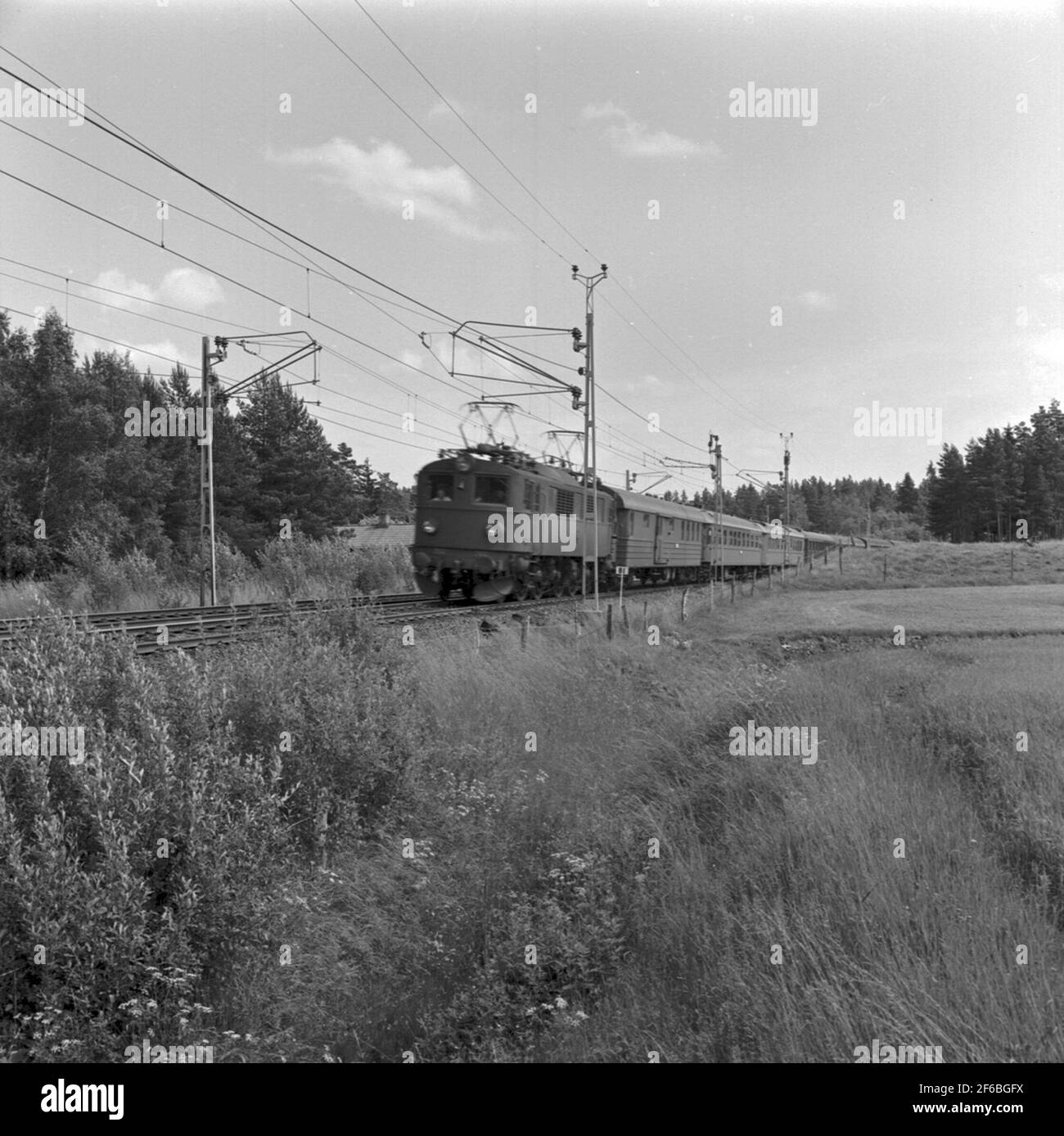 F Lok with passenger train Stock Photo - Alamy