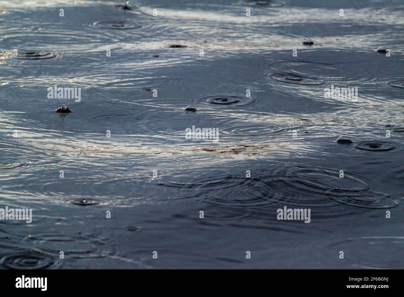 Rain drops splashing, bouncing, on moving, gently upswelling water ...