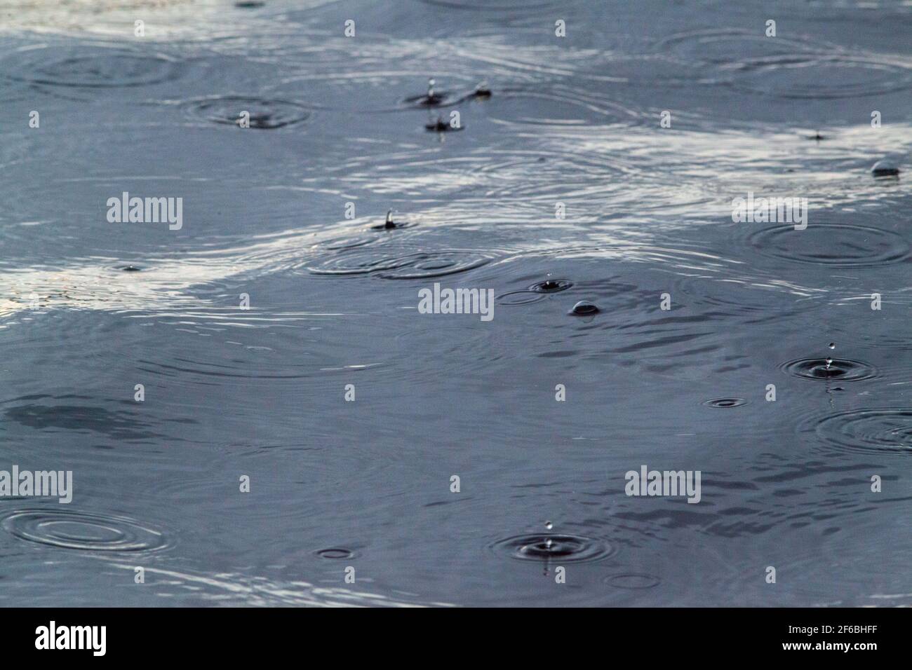 Rain drops splashing, bouncing, on moving, gently upswelling water ...