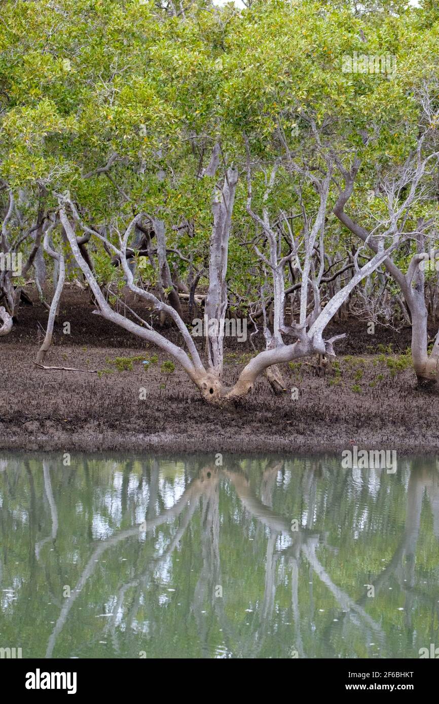 Nudgee hi-res stock photography and images - Alamy