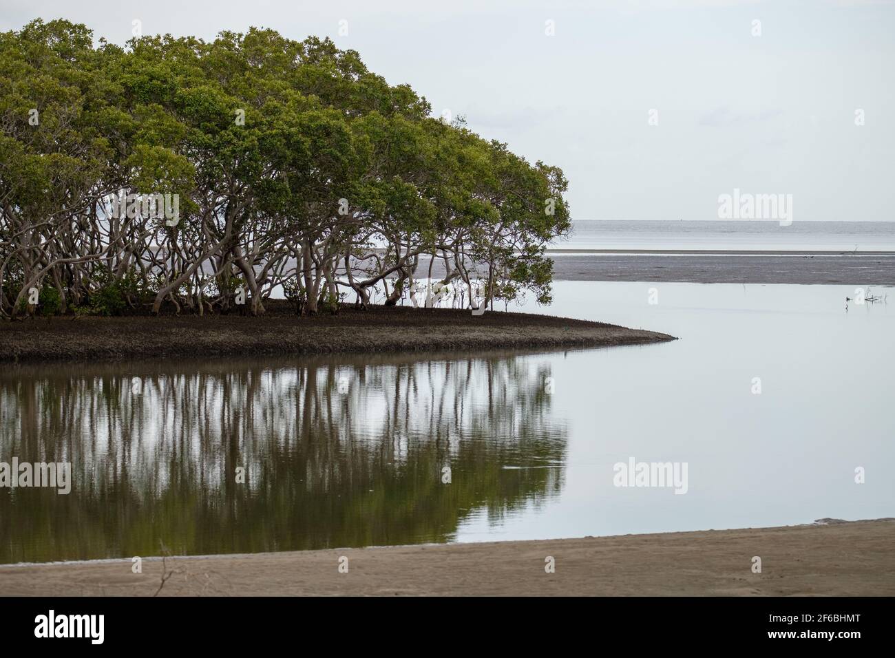 At Nudgee Beach Wetlands Stock Photo - Alamy
