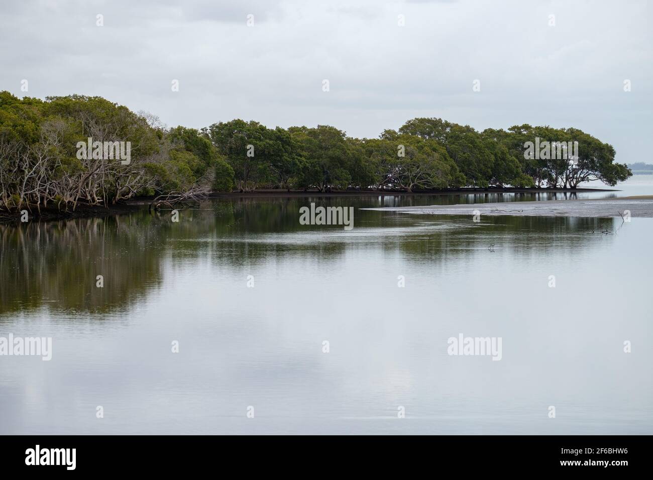 At Nudgee Beach Wetlands Stock Photo - Alamy