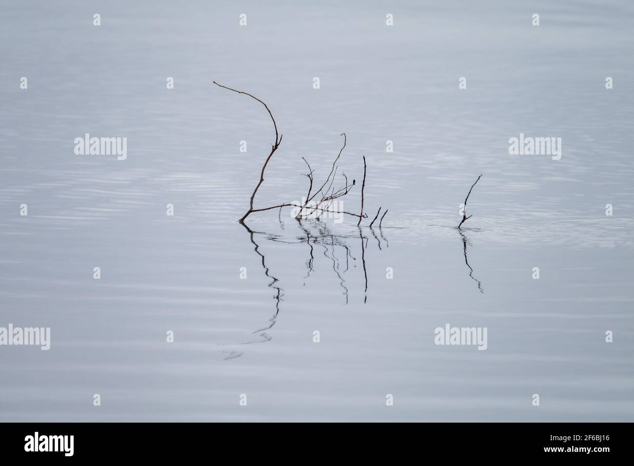Nudgee beach hi-res stock photography and images - Alamy