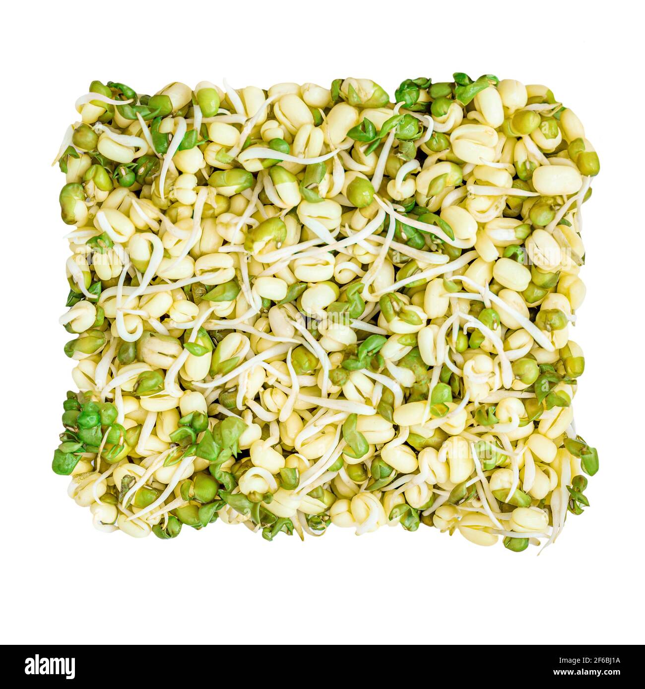 Chinese bean sprout hi-res stock photography and images - Alamy