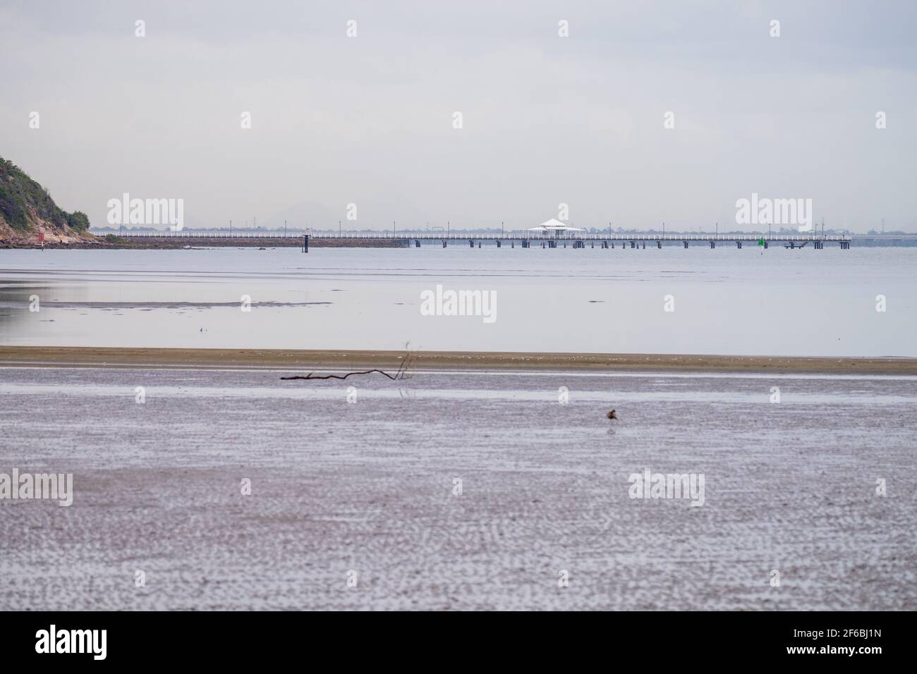 At Nudgee Beach Wetlands Stock Photo - Alamy