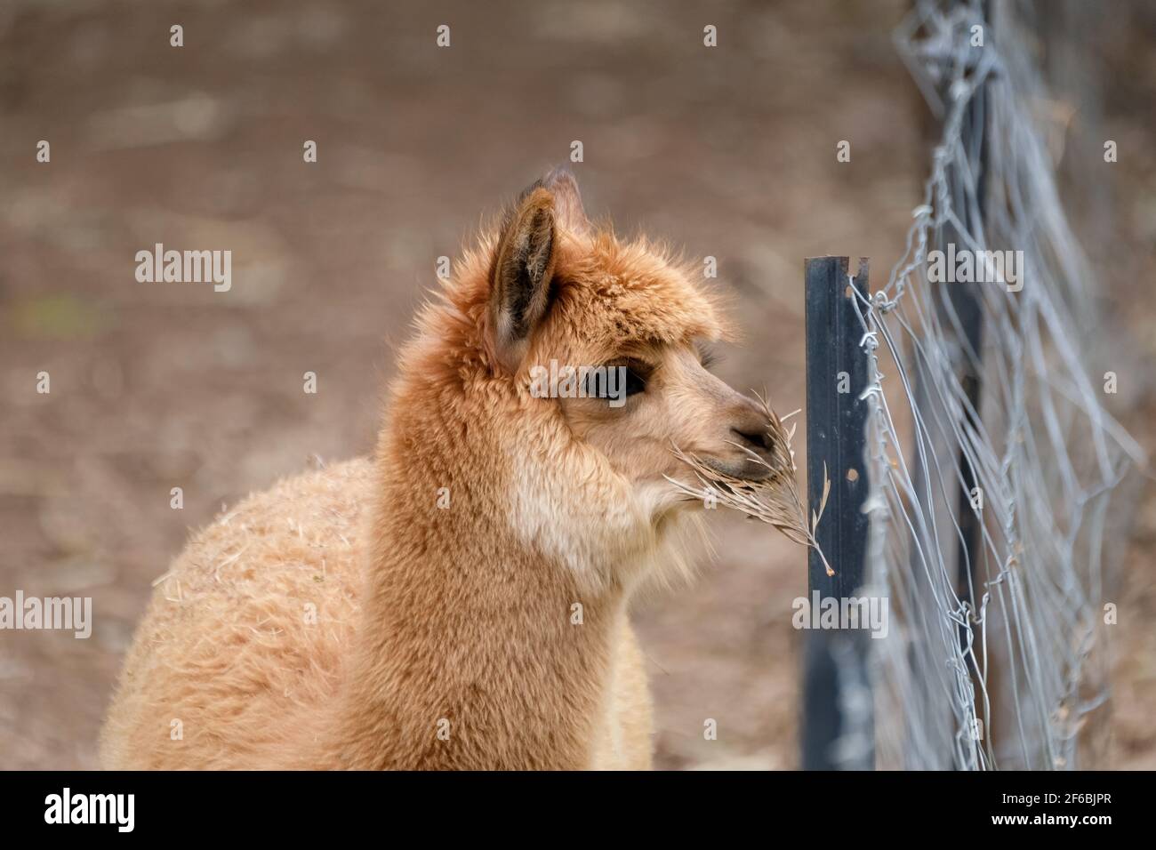 Mountview hi-res stock photography and images - Alamy