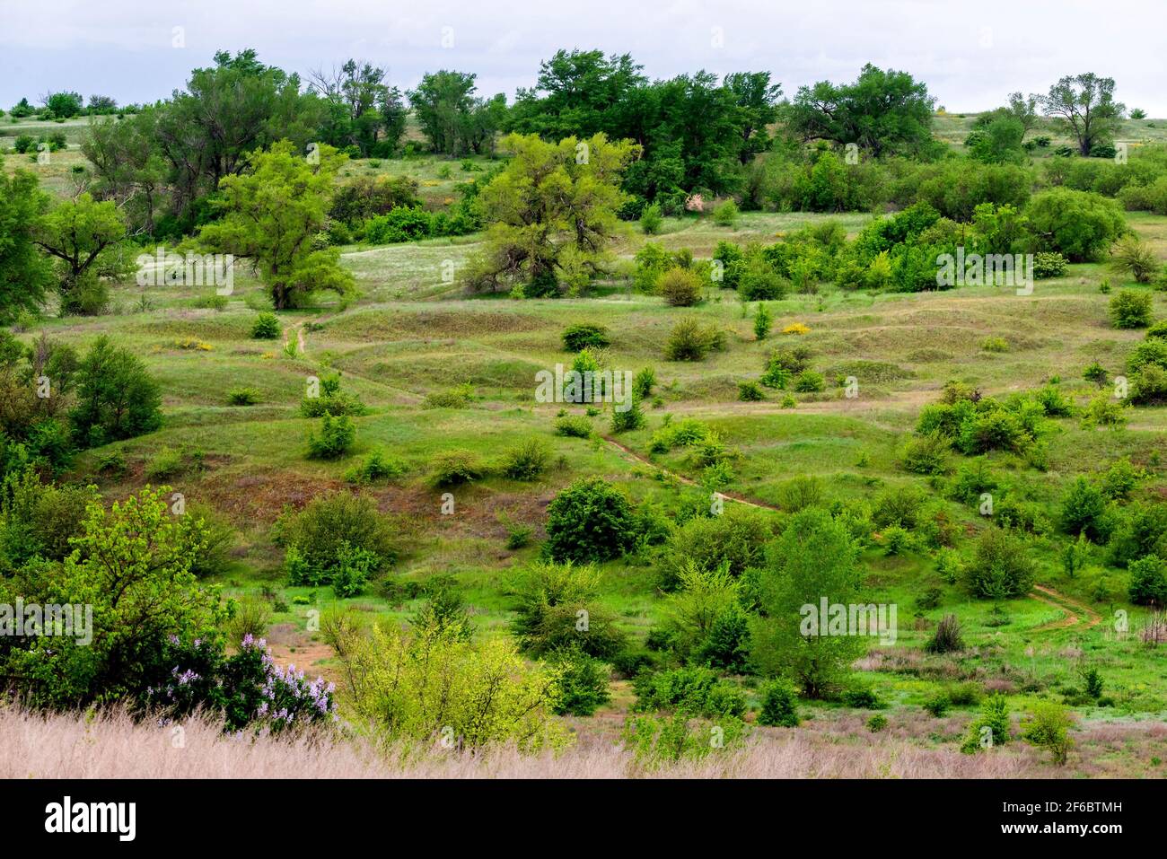 Beautiful green slopes of hills landscape. Nature in summertime Stock ...